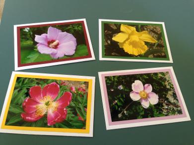 Artful Eye Prints